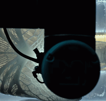 Conoce a 'Walter', el androide de Fassbender en 'Alien: Covenant ...