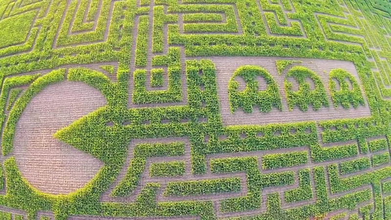Conoce el espectacular Laberinto de Maíz de Pac-Man | Isopixel