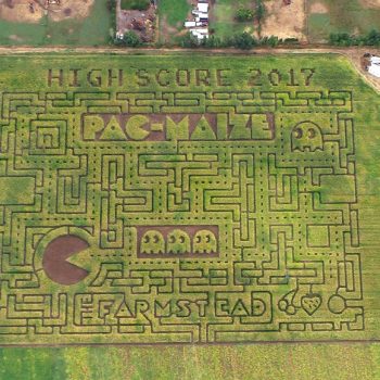 Conoce el espectacular Laberinto de Maíz de Pac-Man | Isopixel