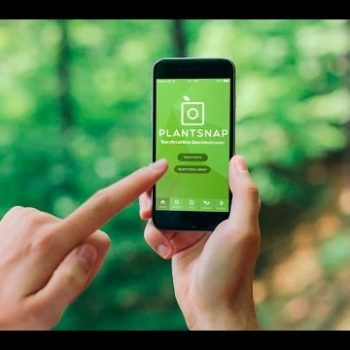6 apps “verdes” que debes descargar para conocer y ayudar al medio ...