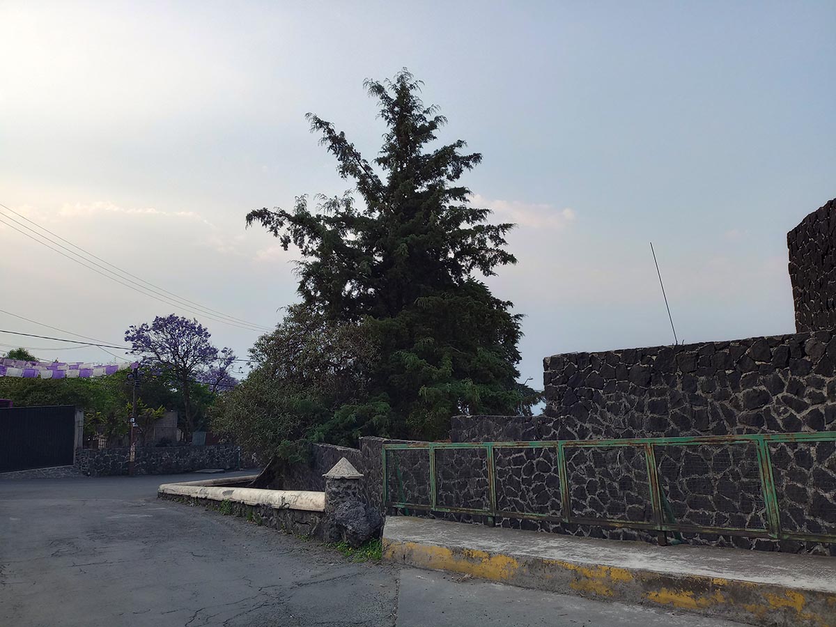 IMG_20220415_074248601_HDR | Isopixel