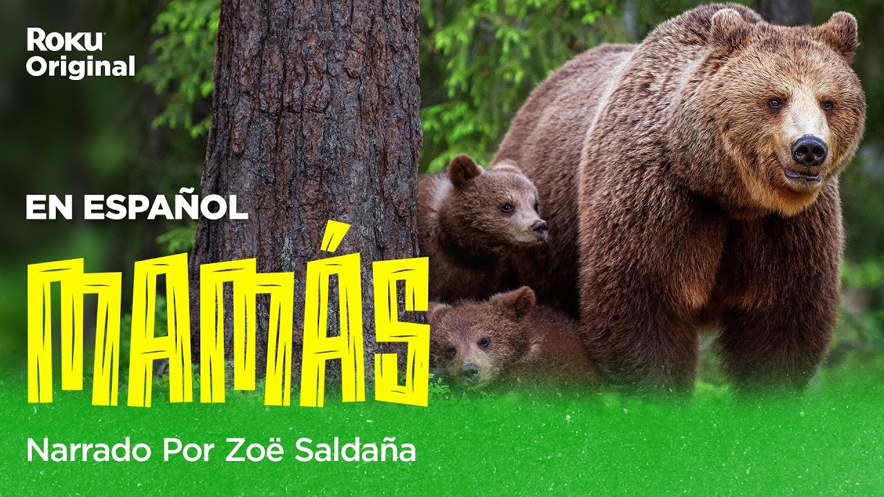 maxresdefault-7 | Isopixel