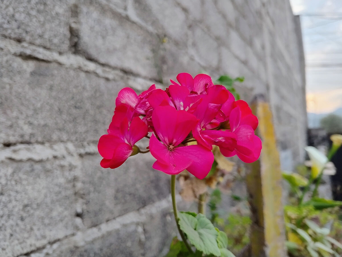 IMG_20240118_180625514_HDR_AE1 | Isopixel